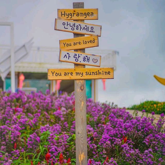 Hydrangea Cafe | Trip.com อำเภอ เขาค้อ