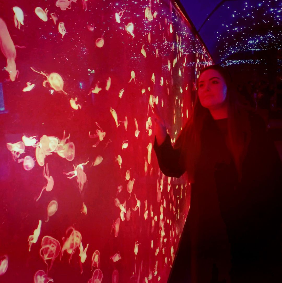 Hefei 2023 Top Things to Do - Hefei Travel Guides - Top Recommended ...