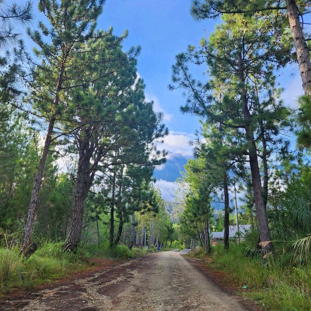 great stay in THE CLOVER mesil | Trip.com Kota Kinabalu