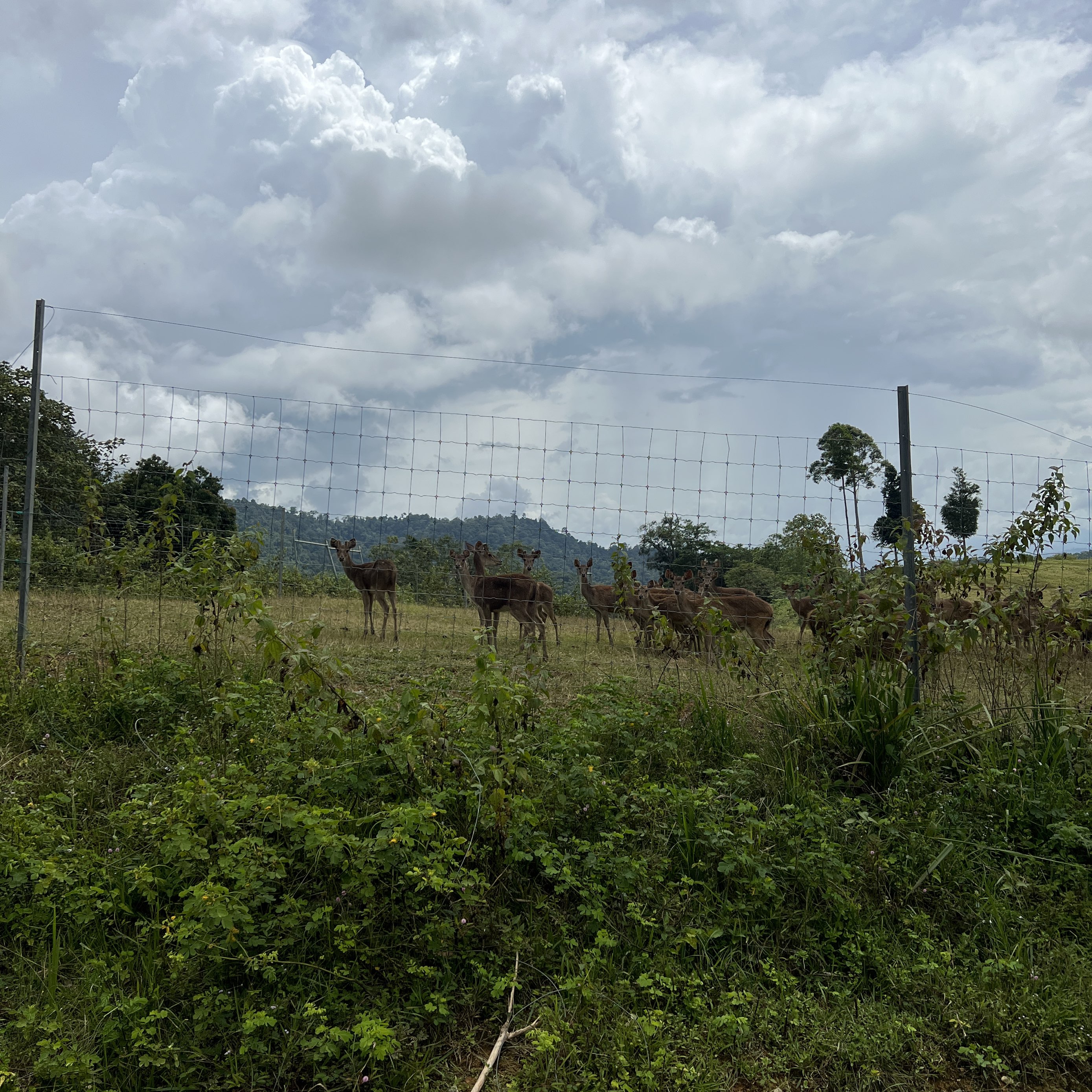 Lenggong Travel Guide 2023 - Things to Do, What To Eat & Tips | Trip.com