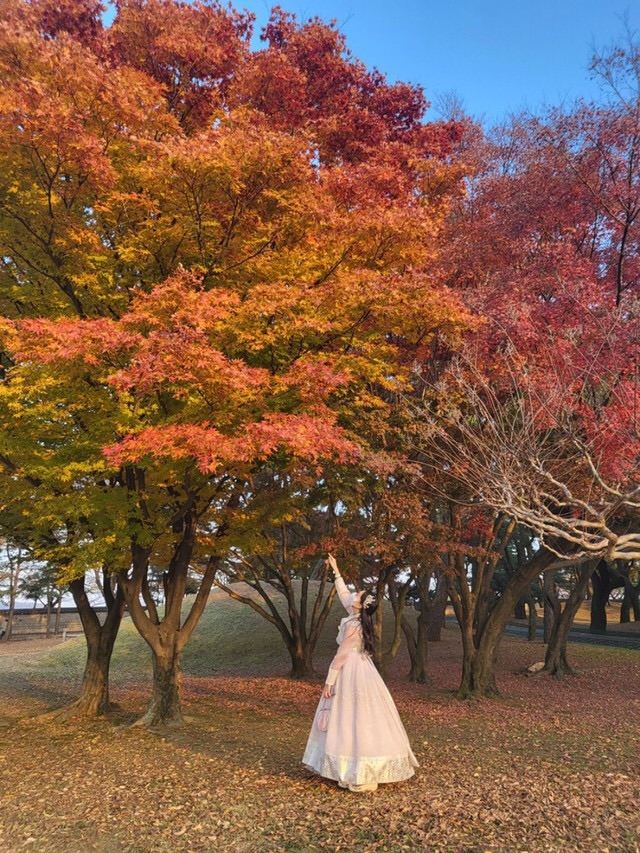 가을에 가기 좋은 단풍 맛zip 🍂🍁 트립닷컴 제주도 트래블로그
