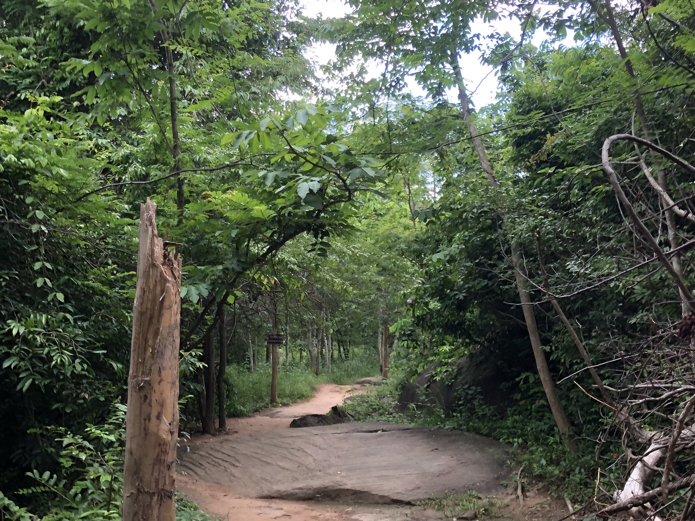 Svay Leu Travel Guide 2024 - Things to Do, What To Eat & Tips | Trip.com