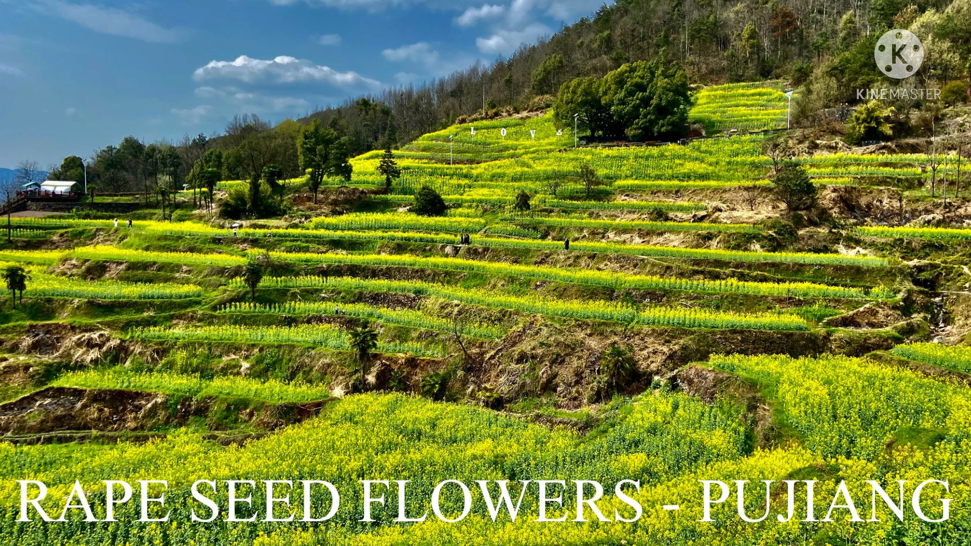 Pujiang 2024 Top Things to Do - Pujiang Travel Guides - Top Recommended ...