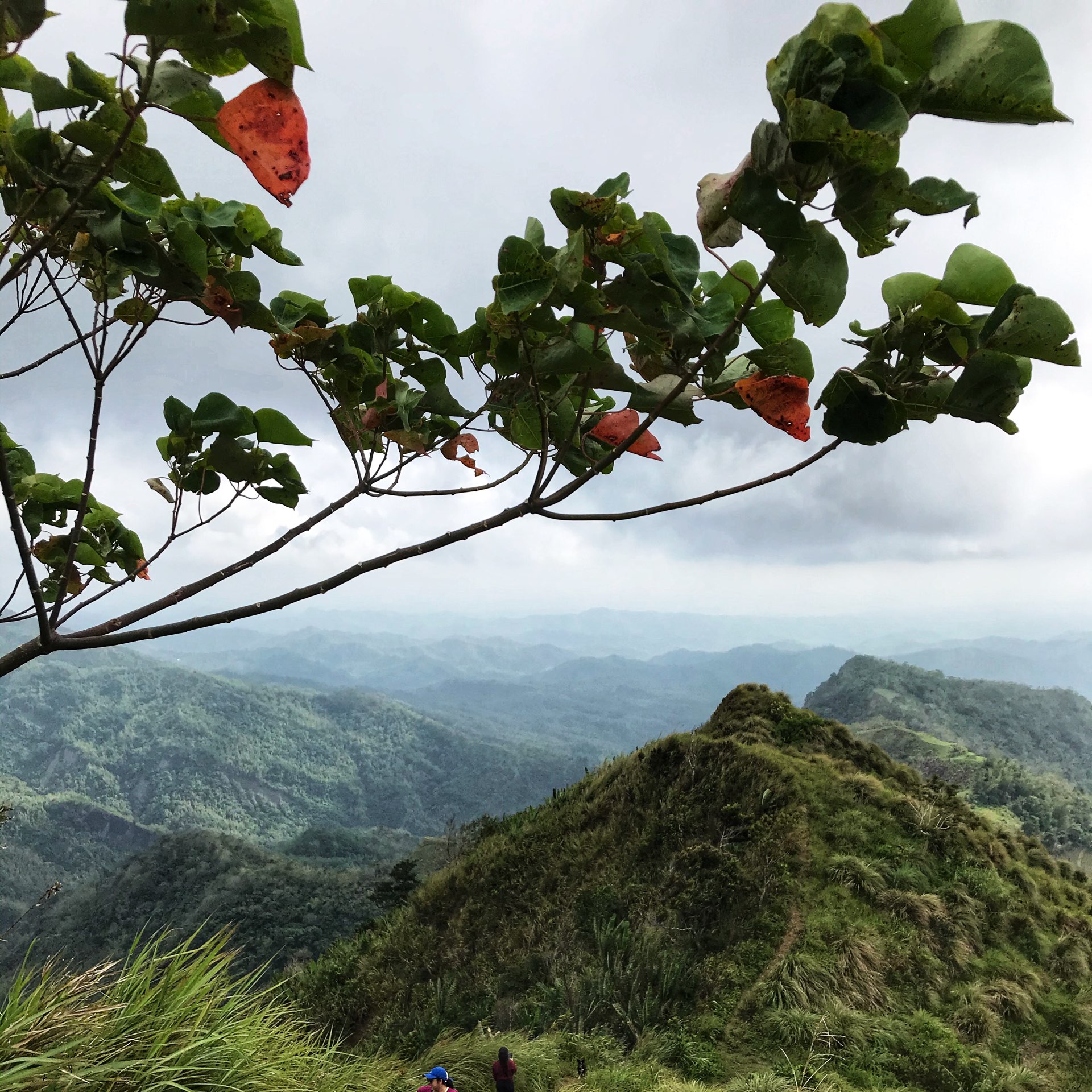 Alimodian Travel Guide 2024 - Things to Do, What To Eat & Tips | Trip.com
