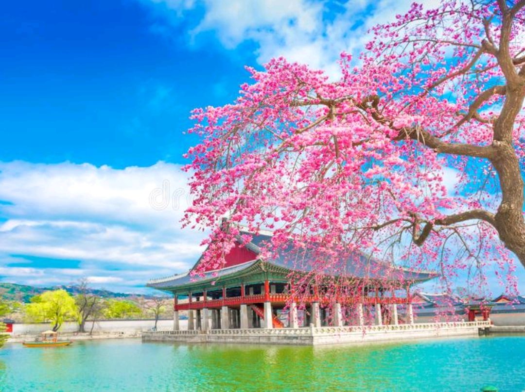Cheongju 2022 Top Things to Do - Cheongju Travel Guides - Top ...