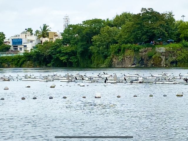 Bird valley Udyan in Pune Maharashtra | Trip.com Pune