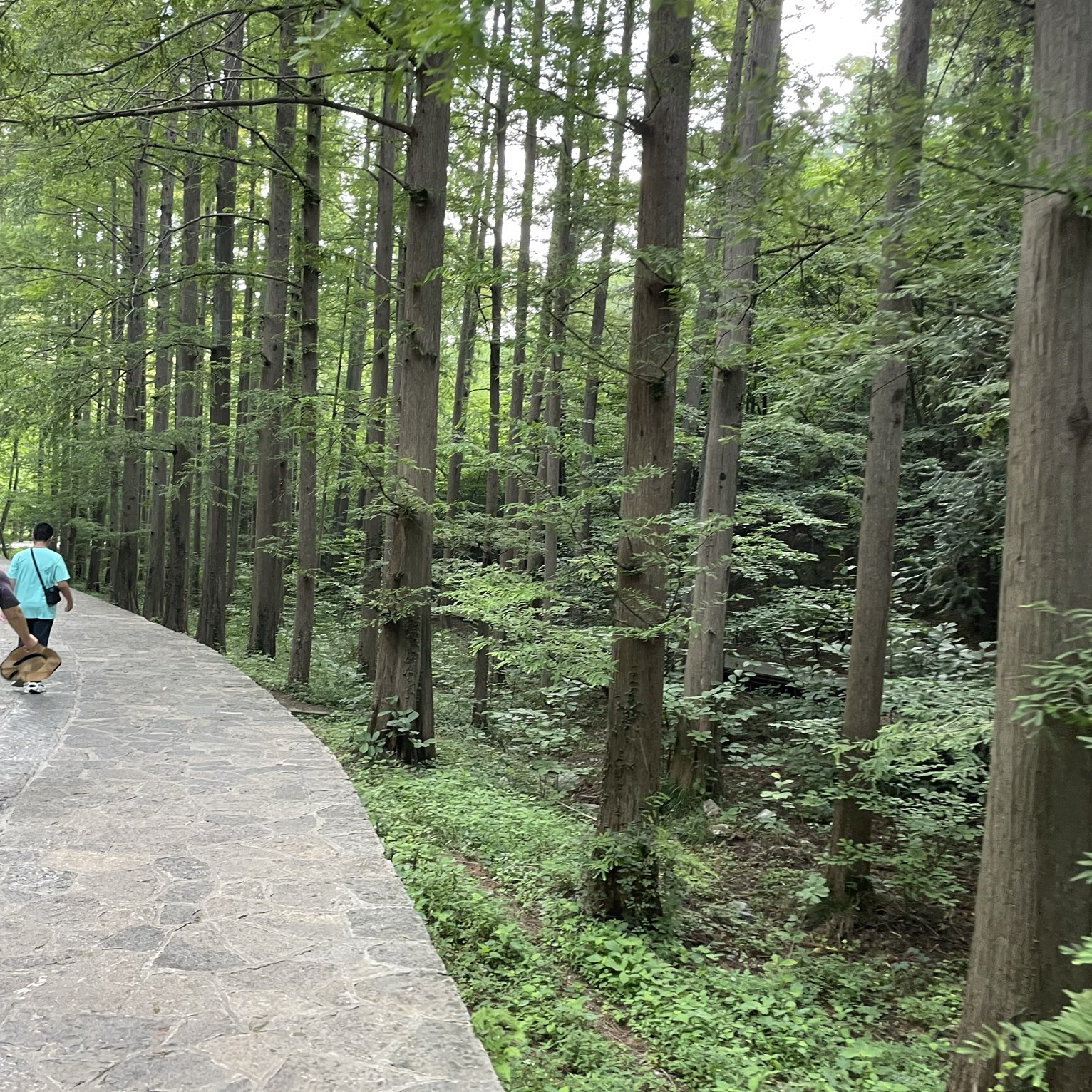 Chuzhou Travel Guide 2023 - Things to Do, What To Eat & Tips | Trip.com