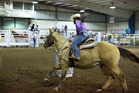 9th Annual Greenville Heritage Rodeo | 1040 South Raceway Road ...