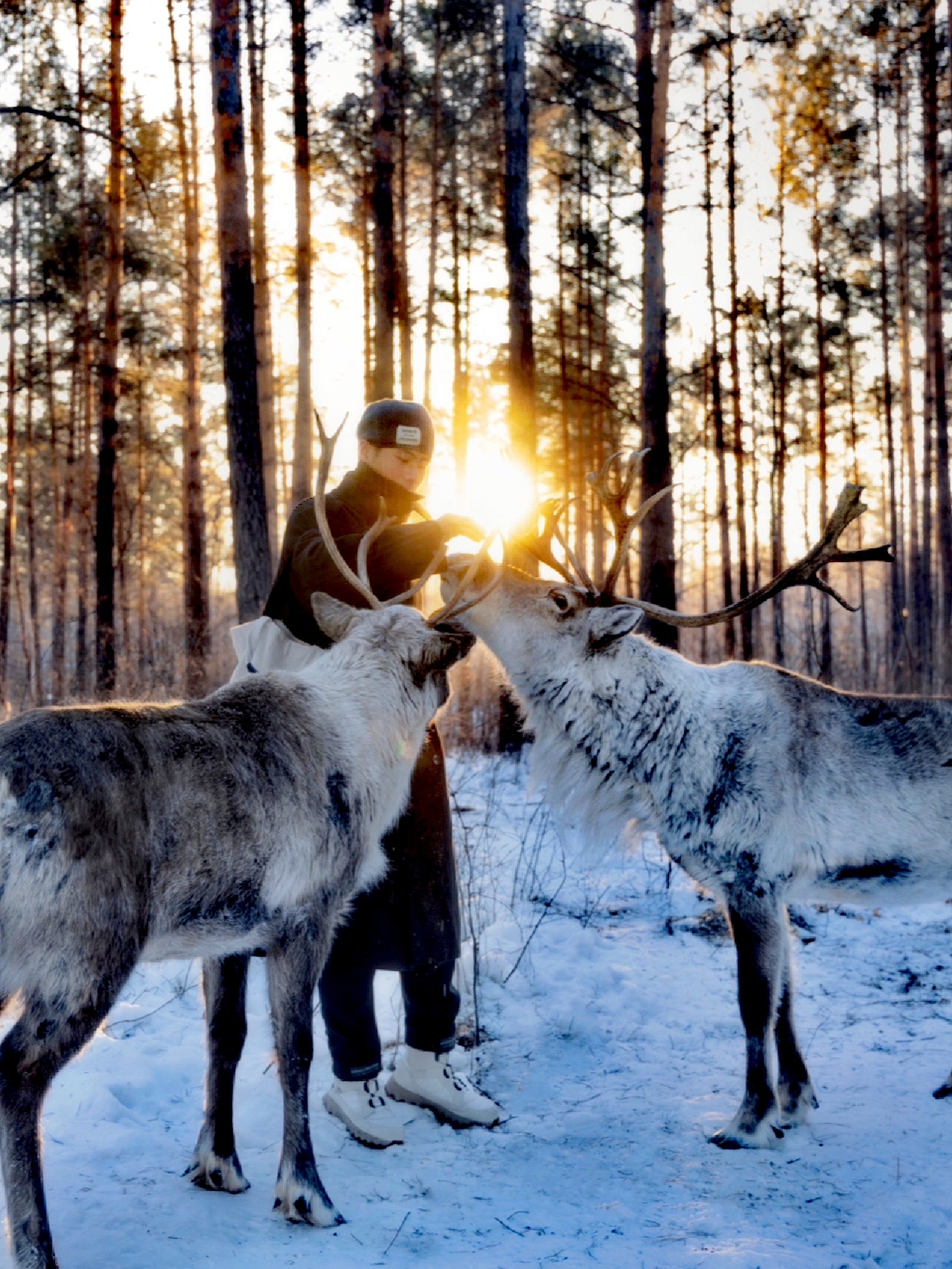 Mohe Travel Guide 2023 - Things to Do, What To Eat & Tips | Trip.com