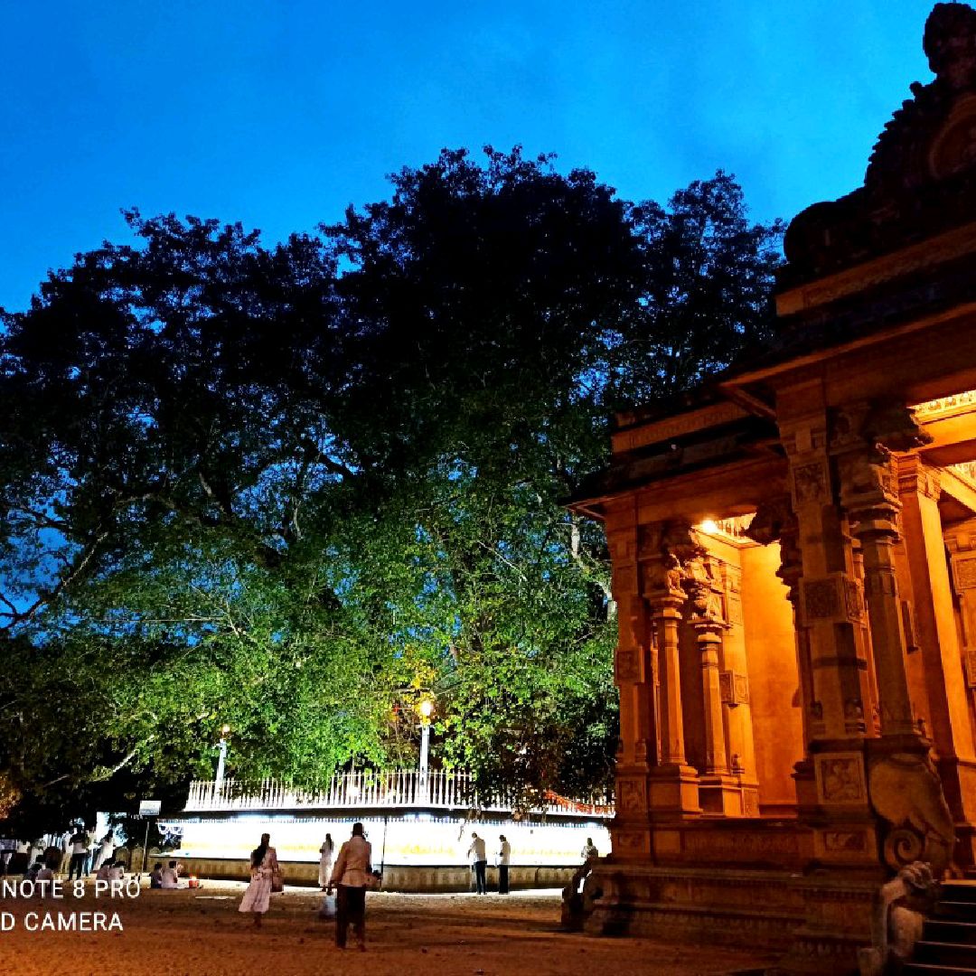 Kelaniya Temple Images