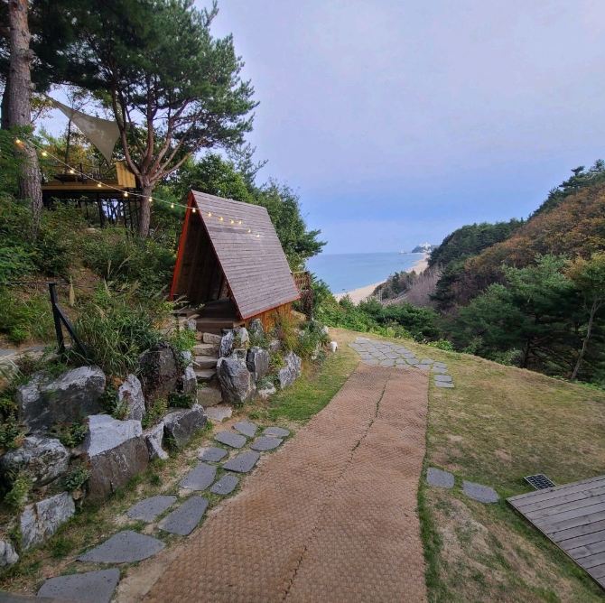 정동진 뷰가 좋은 스테이인터뷰 카페 트립닷컴 강릉시 트래블로그
