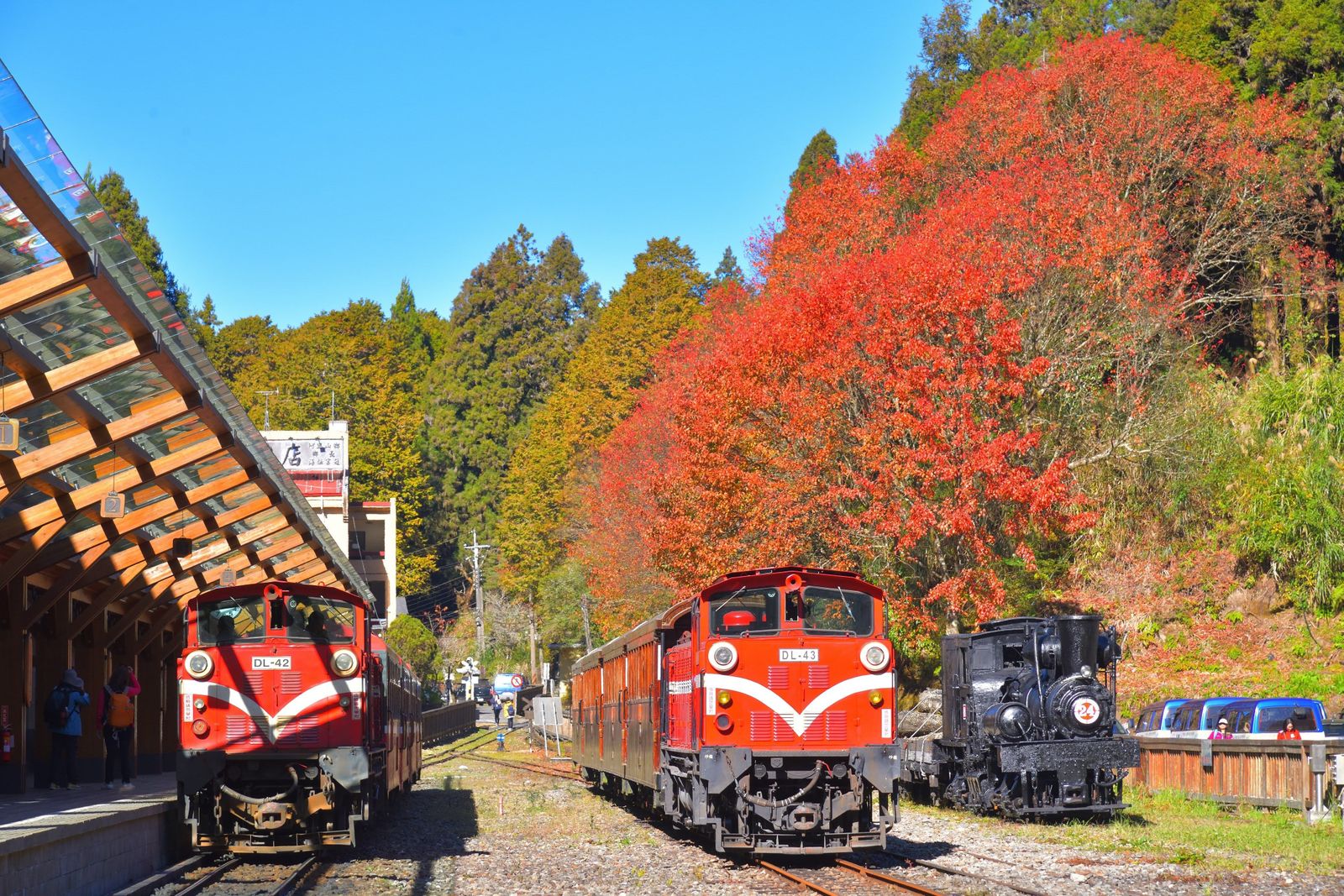 【2024台灣楓葉季】台東人氣賞楓景點推介：太平山森林遊樂區、台東紅葉村 | 台東的日期及行程 | Trip.com