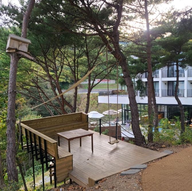 정동진 뷰가 좋은 스테이인터뷰 카페 트립닷컴 강릉시 트래블로그