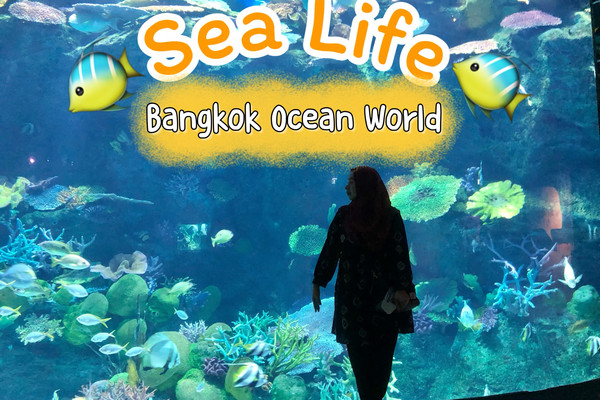 Sea Life Bangkok Ocean World สยามพารากอน | Trip.com กรุงเทพฯ