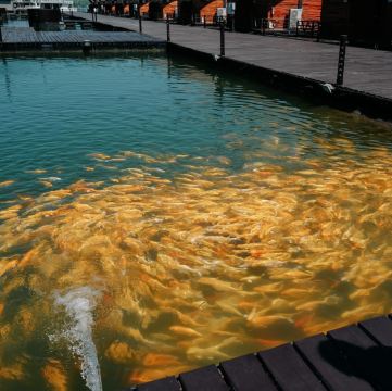 LEAF LAKE KAN RESORT | Trip.com กาญจนบุรี บล็อกท่องเที่ยว