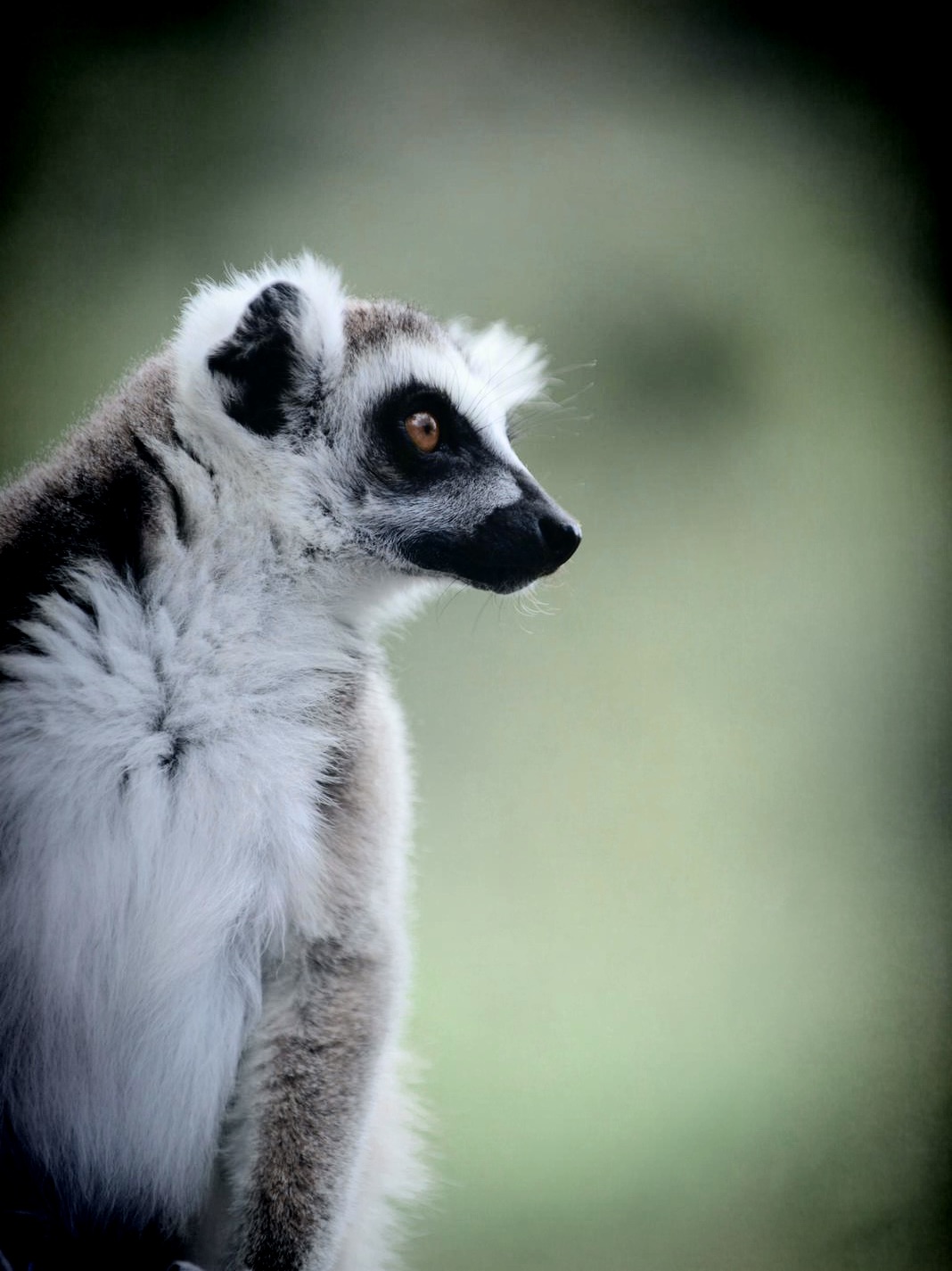 【2024】馬達加斯加旅遊攻略，人氣景點，酒店推介，熱門活動及餐廳 | Trip.com