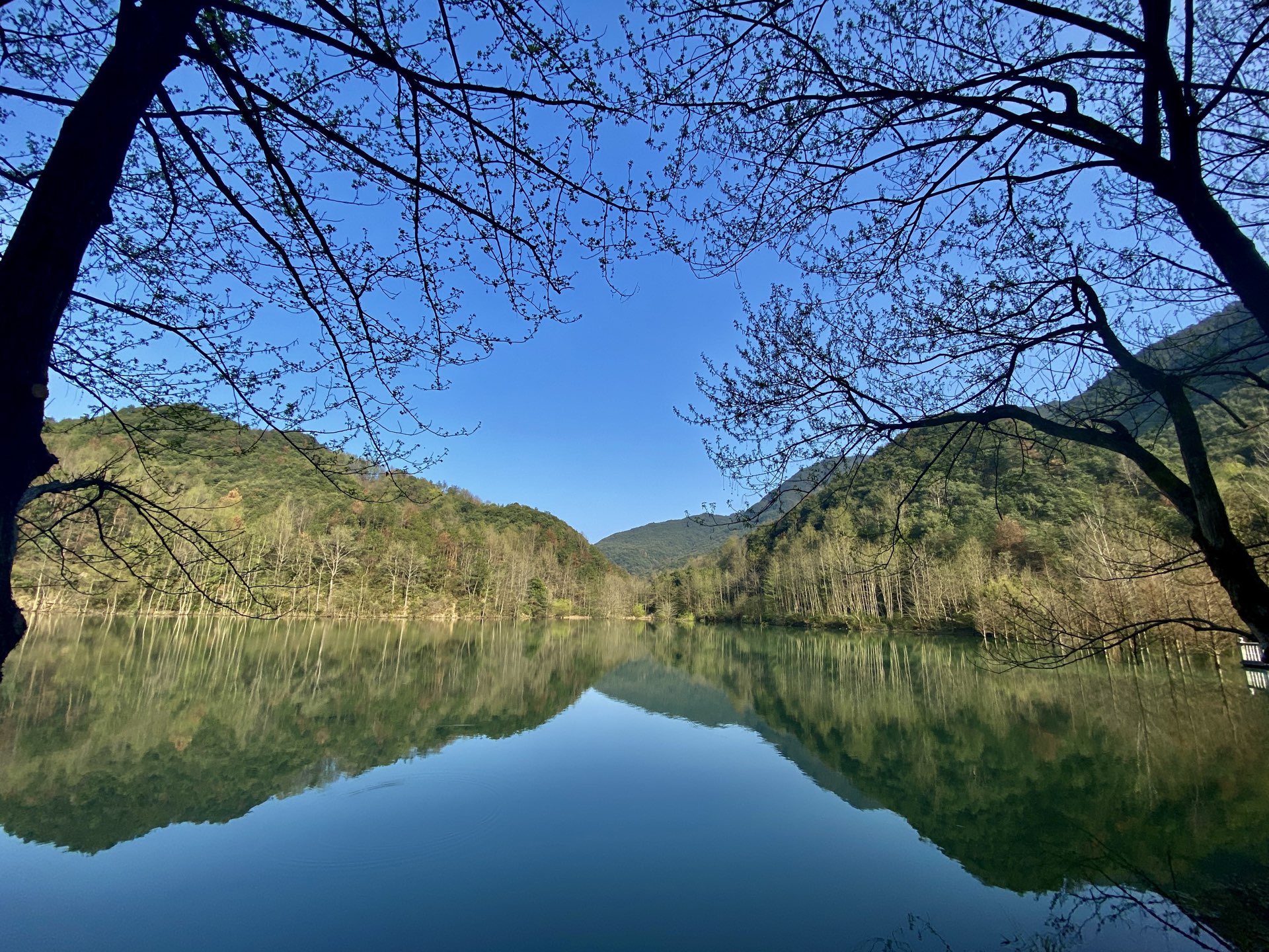 Pujiang 2024 Top Things to Do - Pujiang Travel Guides - Top Recommended ...