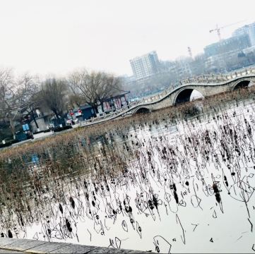 Jinan Daming Lake Scenic Spot Experience ⛵️ | Trip.com Jinan Travelogues