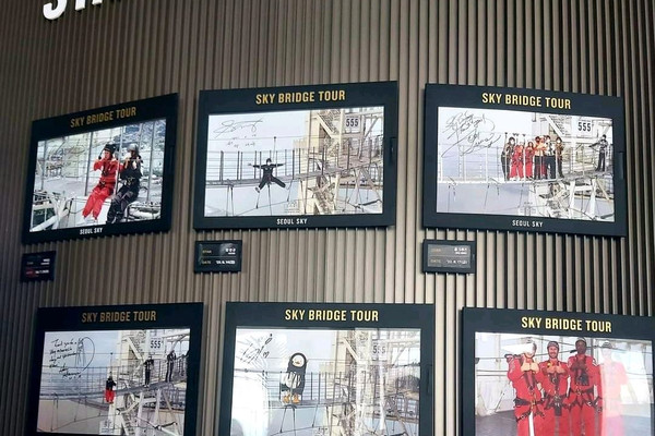 Sky Bridge Tour | Trip.com Seoul