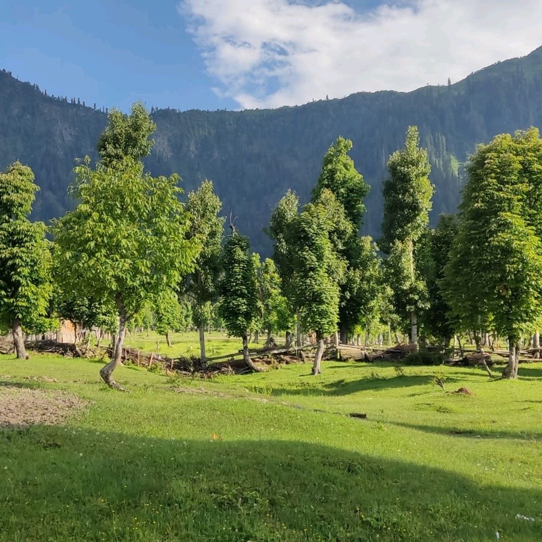 Murree 2023 Top Things to Do - Murree Travel Guides - Top Recommended ...