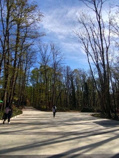 Kartepe Travel Guide 2024 - Things to Do, What To Eat & Tips | Trip.com