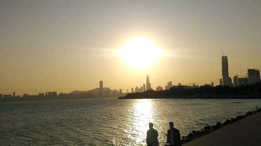 Shenzhen Bay Park Travel Recommendations for 2023 (Updated in May) on ...
