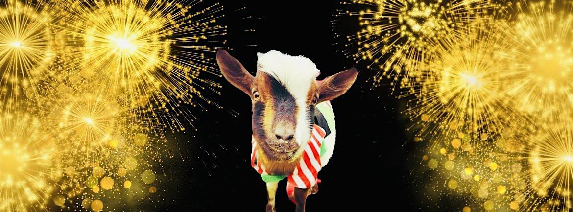 Goat Yoga Addison Circle! | Addison Circle Park: Tickets, Dates ...