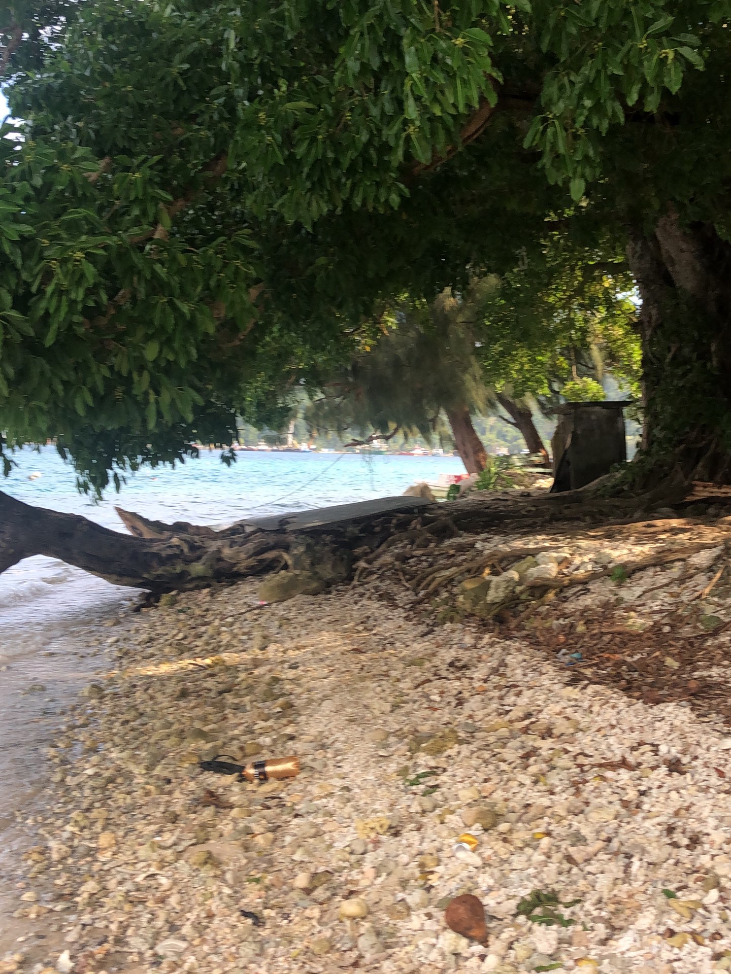 Shefa Travel Guide 2024 - Things to Do, What To Eat & Tips | Trip.com