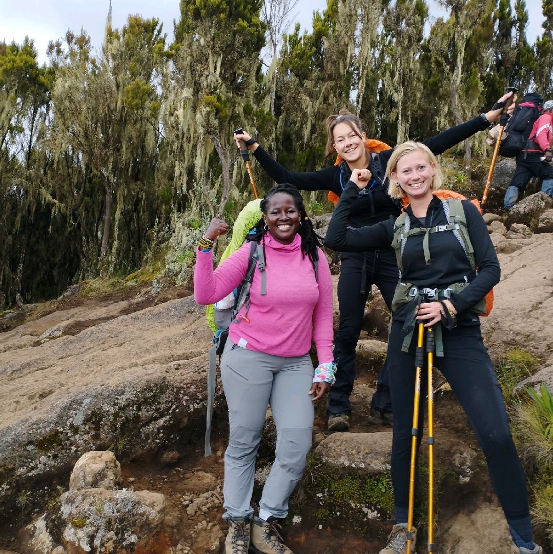 Rombo 2023 Top Things to Do - Rombo Travel Guides - Top Recommended ...