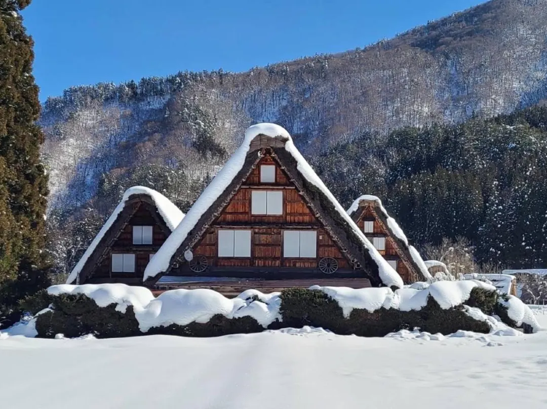 Minsyuku Koshiyama - Shirakawa