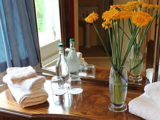 Blossom Hill Bed And Breakfast - Clare County