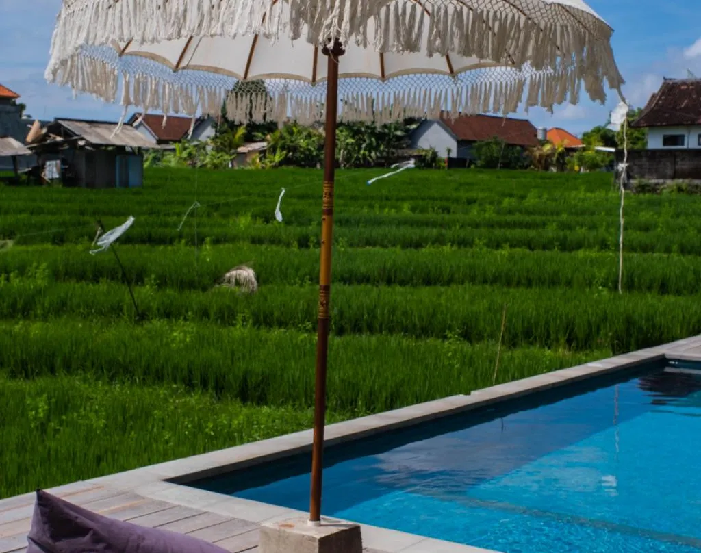 Backyard Canggu - Canggu