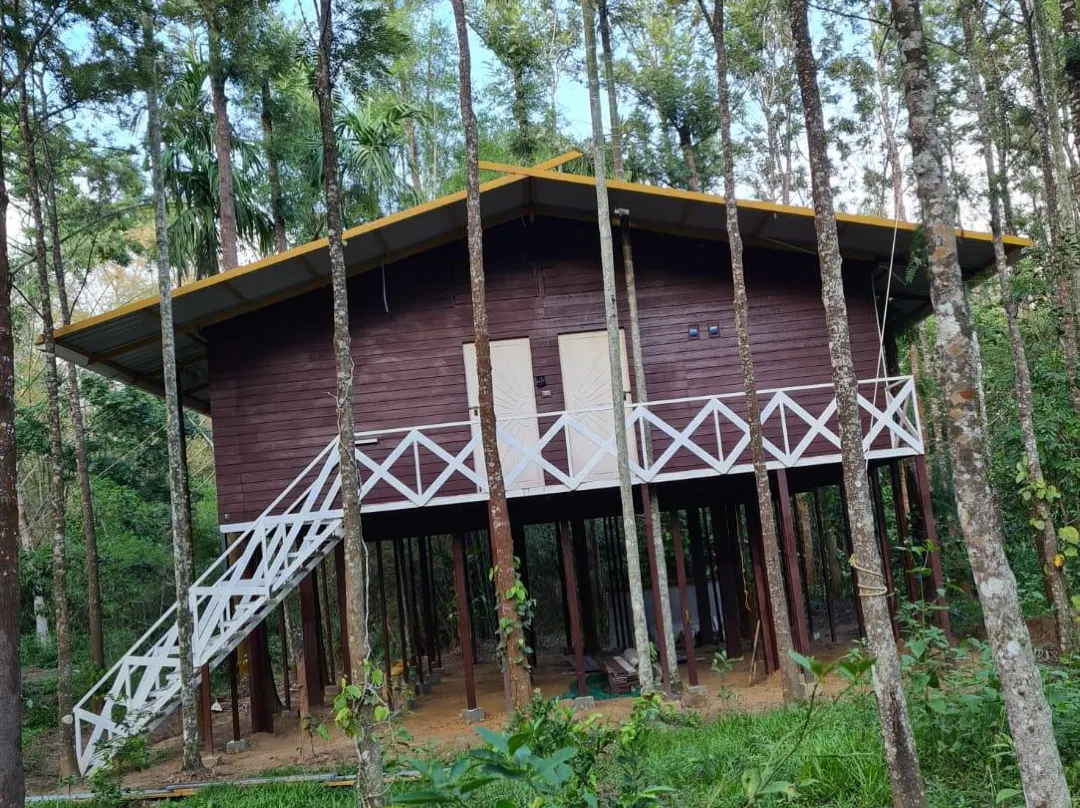 Deep Jungle Home - Bandipur