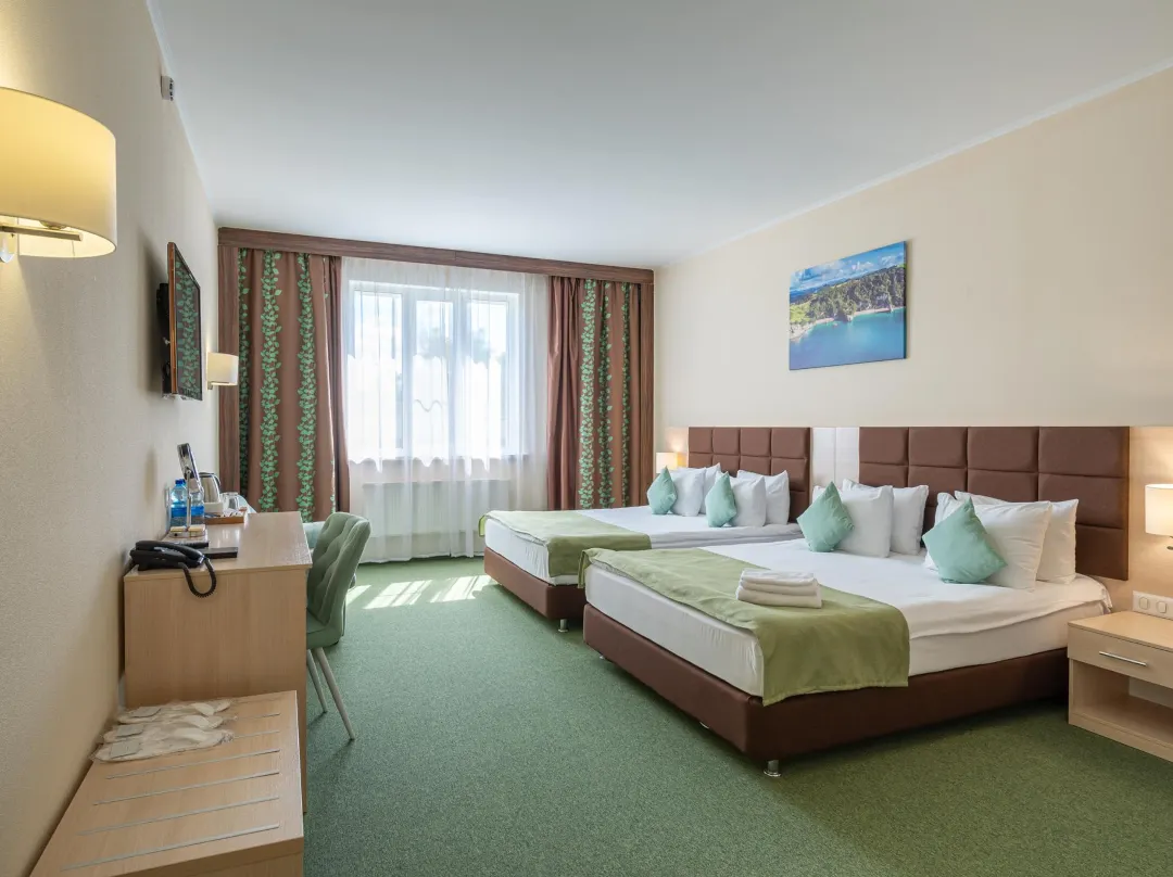 Avion Vnykovo Hotel - Moscow