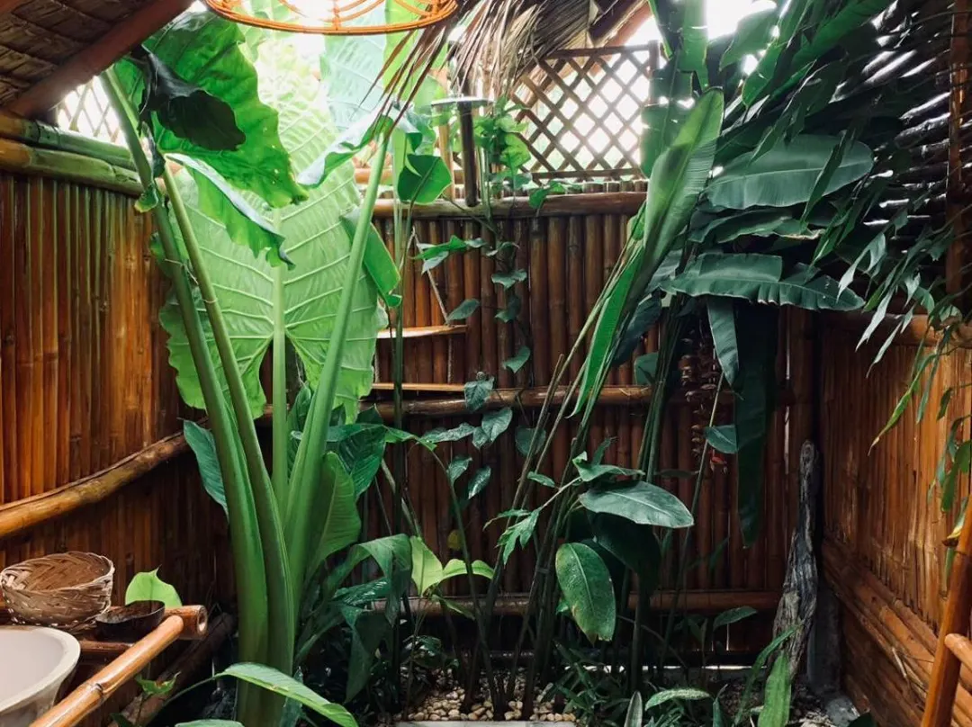 Tongo Hill Cottages - Moalboal