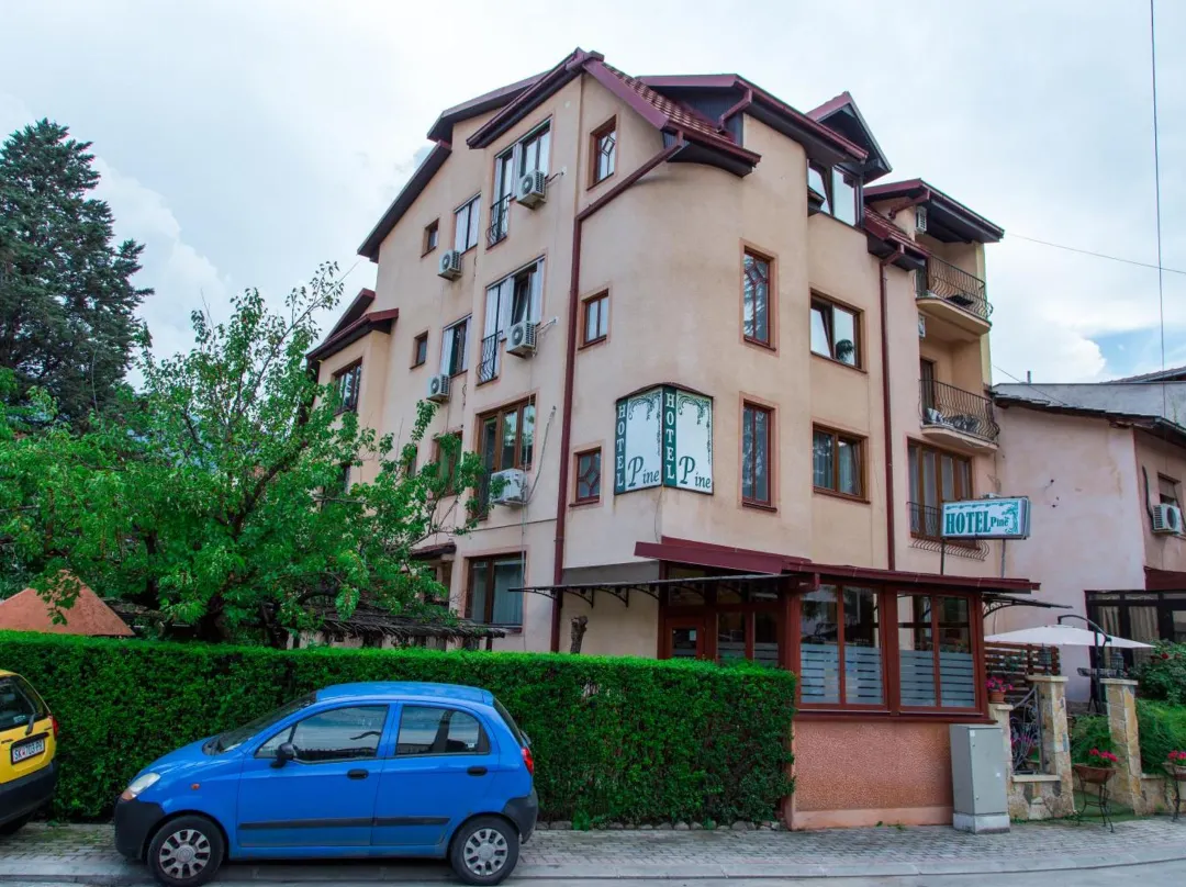 Hotel Pine - Skopje
