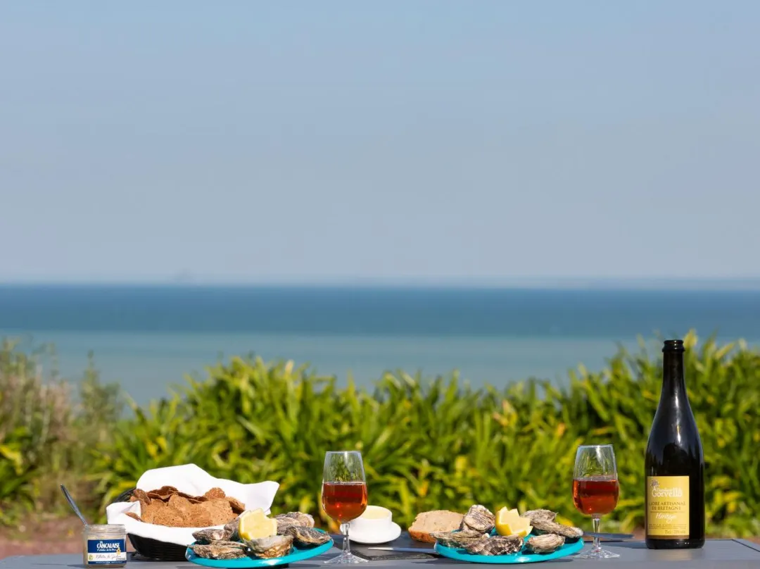 La Metairie-du-vauhariot - Vue Mer Et Mont Saint Michel - Piscine Chauffée - Accès Gr34 - Ille-et-Vilaine