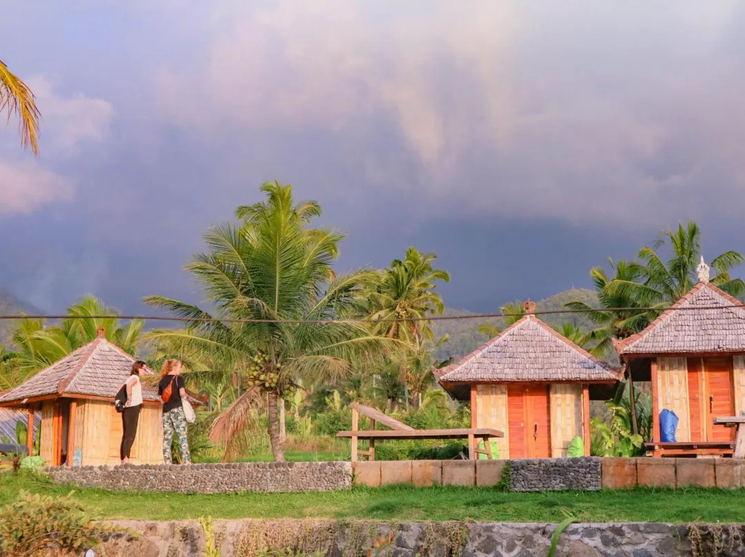 Puri Sunny Camp - Munduk