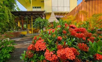 SuanTung Coffee & Guesthouse (Chiang Rai) - 2026 Prices, Reviews ...