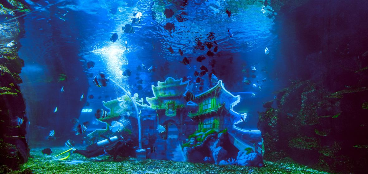 Shashi District independent travel guide (2025): top things to do near ...