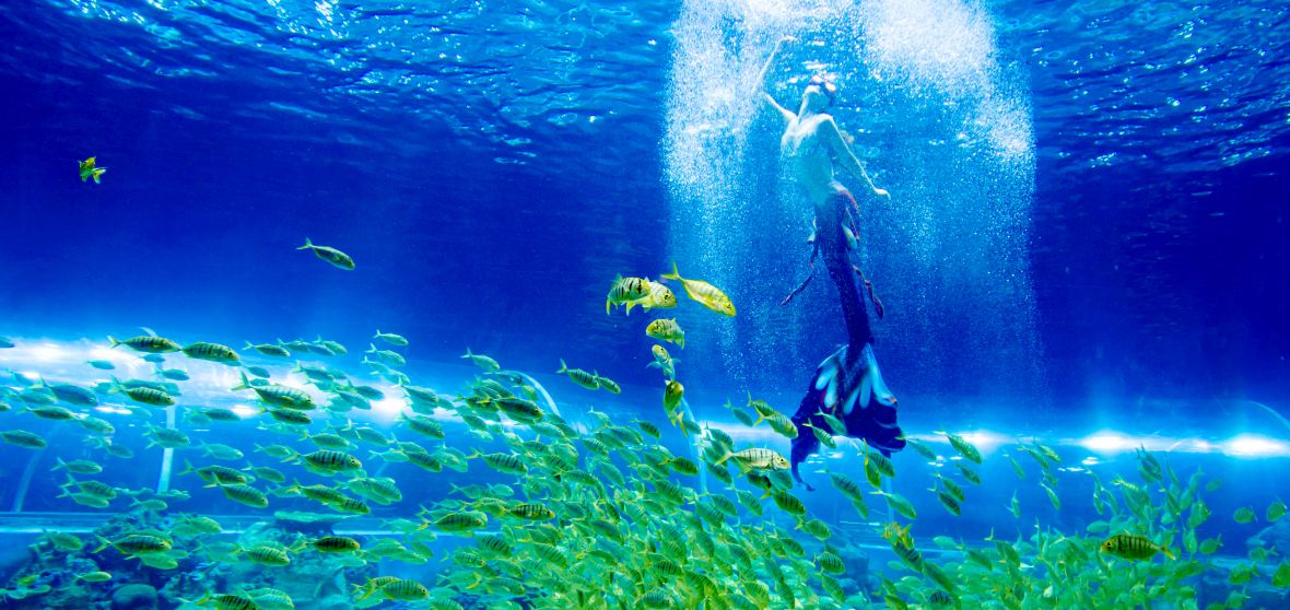 Huli District independent travel guide (2025): top things to do near ...