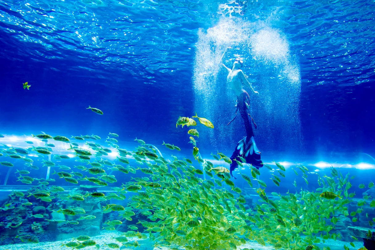 Zhongyu Vision·City Amusement Park Tickets [2026] - Promos, Prices ...