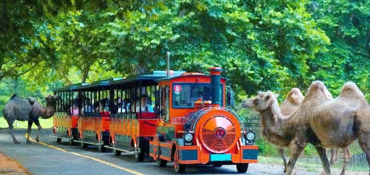 Fuyang District Travel Guide 2025: Top Attractions, Things to Do ...