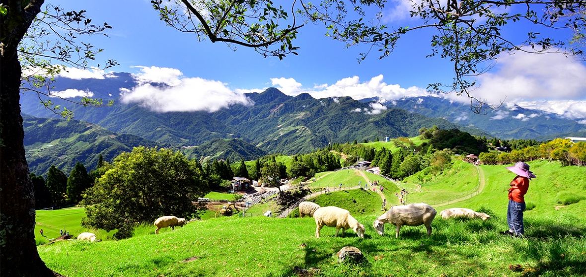 Things to do in Cingjing Farm (2025): Top nearby activities,popular ...