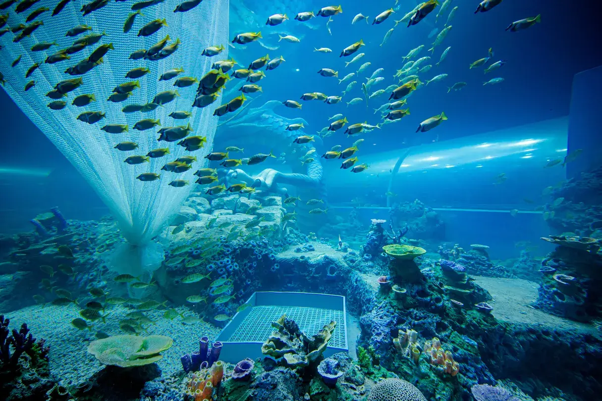 Zhongyu Vision·City Amusement Park Tickets [2026] - Promos, Prices ...