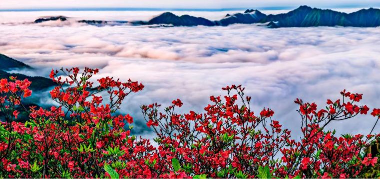 Yongzhou Travel Guide 2024 - Things to Do, What To Eat & Tips | Trip.com