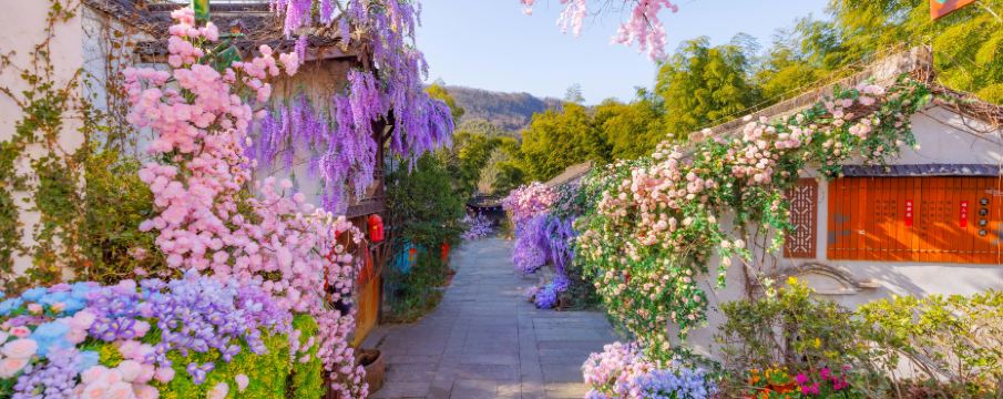 Tianmu Lake Scenic Area Travel Guide 2026: Top Attractions, Things to ...