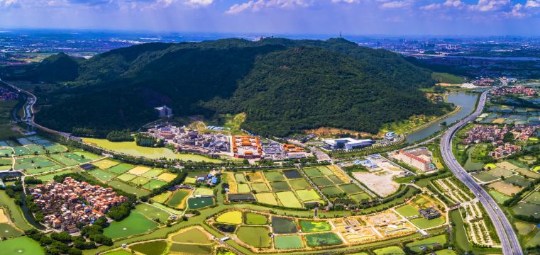 Things to Do in Nanhai District in 2025 - Top Attractions, Local Food ...