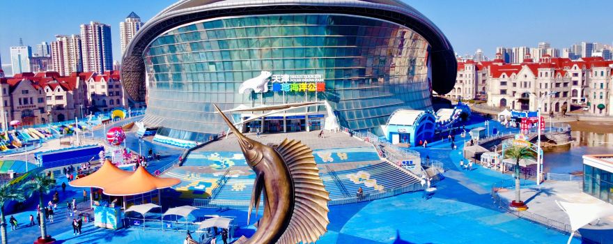Binhai New Area independent travel guide (2025): top things to do near ...