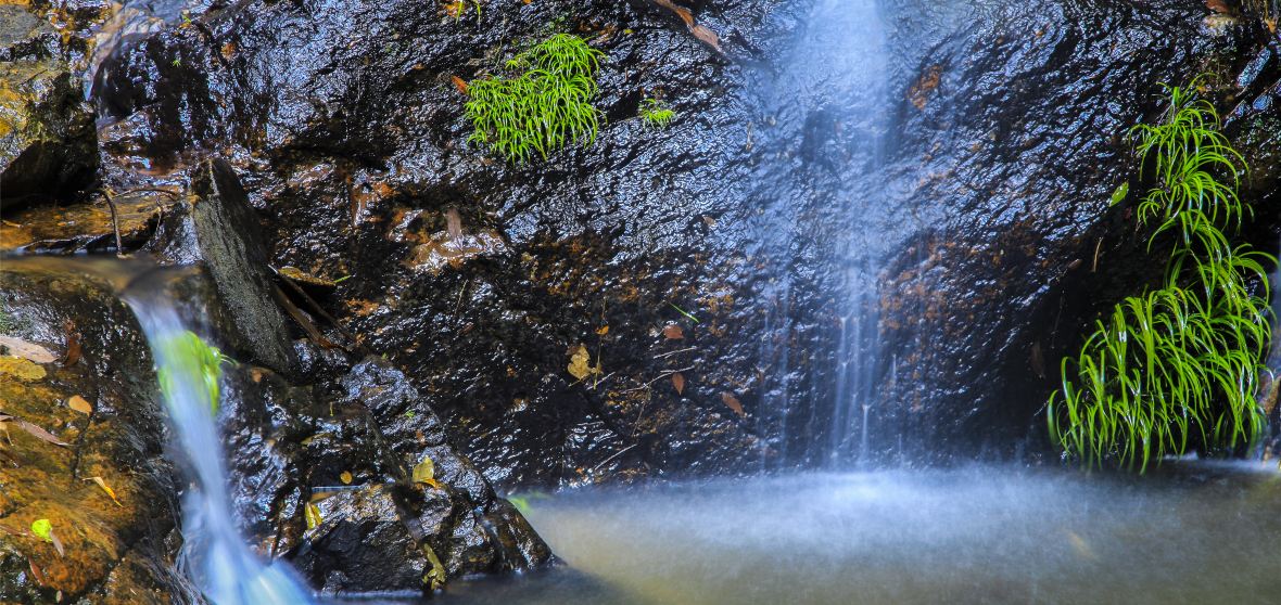 Sanshui District Travel Guide 2025: Top Attractions, Things to Do ...